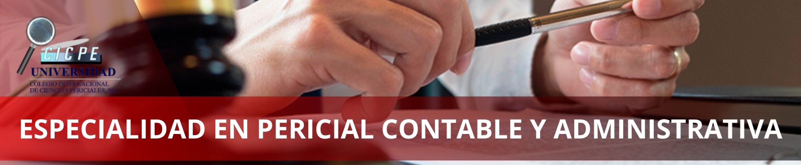 Especialidad en Pericia Contable y Administrativa – Colegio ...